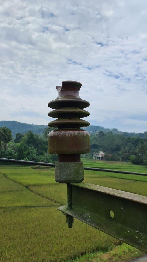 Pin post insulator stock photo. Image of insulator, glass - 266528056