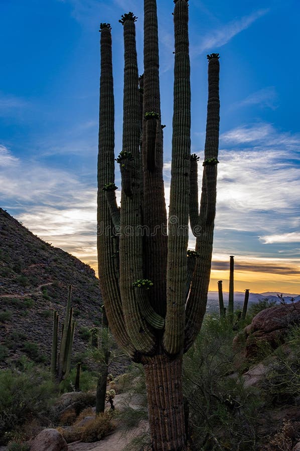 Pinacle Peak Trail Sunset stock image. Image of blue - 135996621