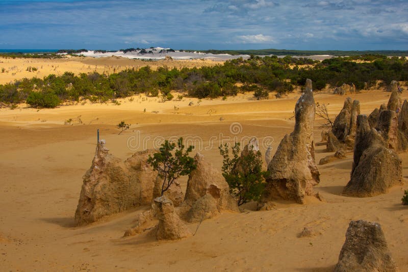 Pinacles stock image. Image of australia, dessert, wildlife - 29538089