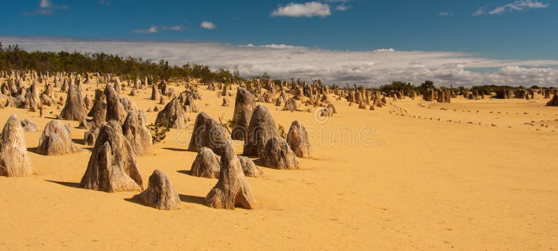 Pinacles stock image. Image of australia, landscape, outdoor - 29652325