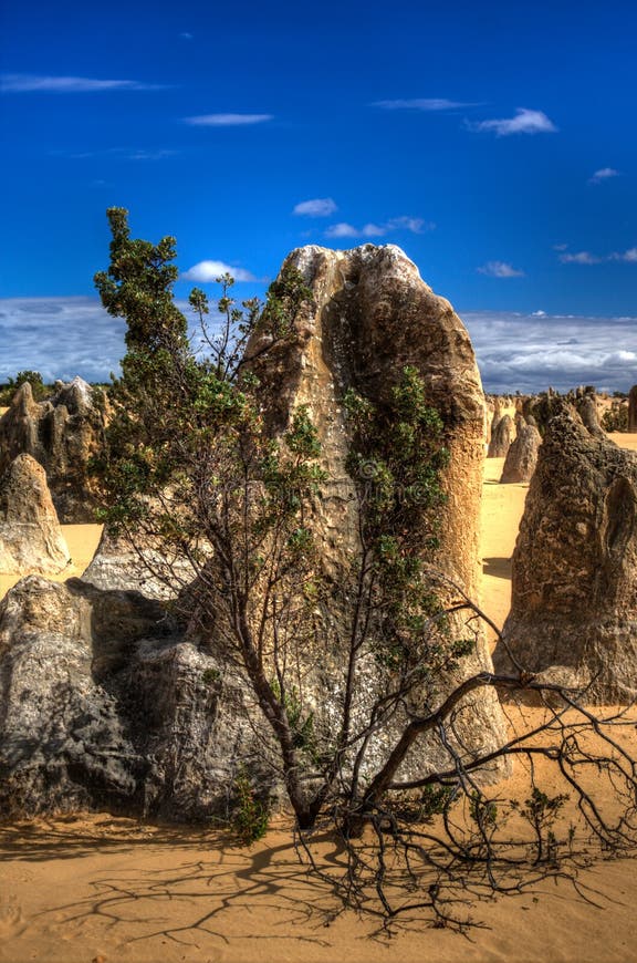 Pinacles stock image. Image of road, travel, outdoor - 29652515