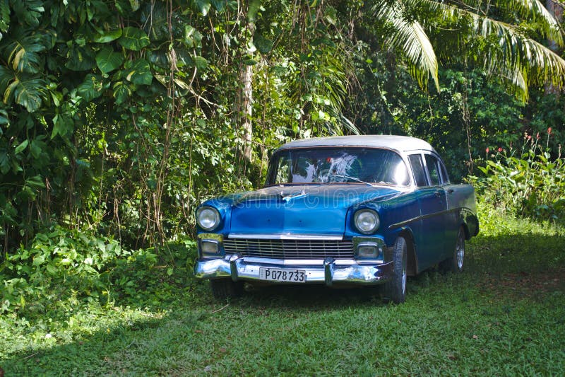 Blue Classic Car on the Forest Editorial Stock Photo - Image of blue ...