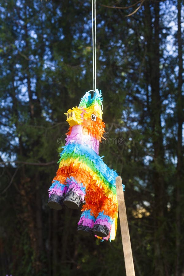 Pinata stock image. Image of gift, forest, culture, celebration - 163947039
