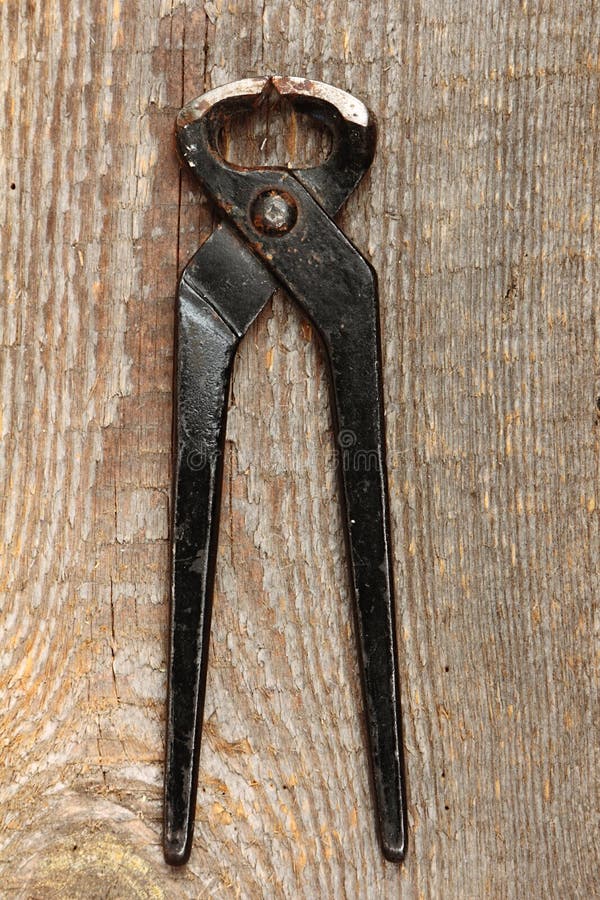 Pinchers obraz stock. Obraz złożonej z teksturowany, naturalny - 37443241
