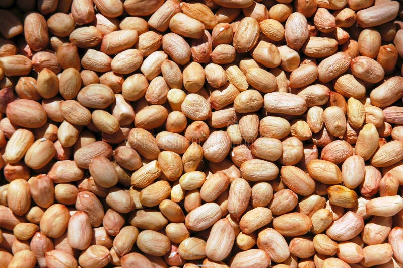 Pinda stock foto. Image of dieet, voedsel, achtergrond - 11411522