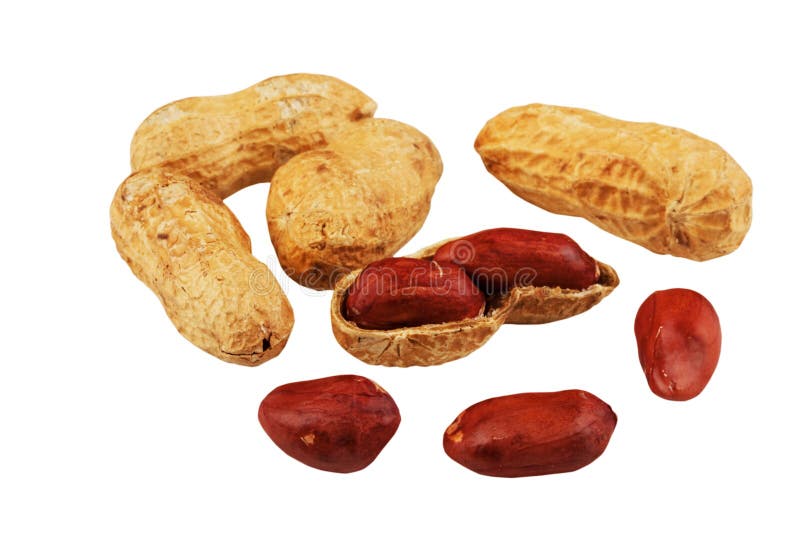 Pinda stock foto. Image of eten, beeld, peul, open, verfrissing - 13125110