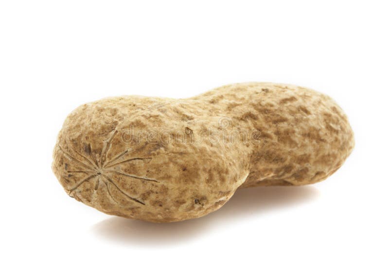 Pindakaasnoot stock foto. Image of schot, noot, macro - 15814348