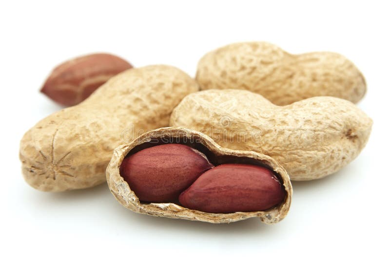 Pinda stock afbeelding. Image of notedop, nave, snack - 16812955