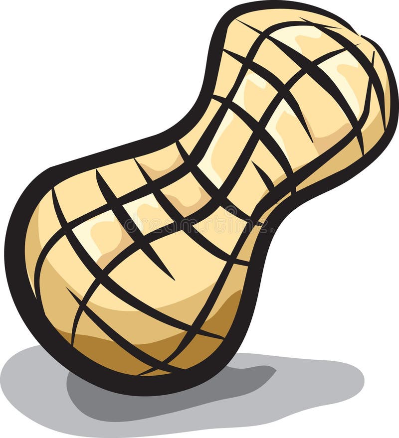 Pinda vector illustratie. Illustration of eten, gezond - 3755652