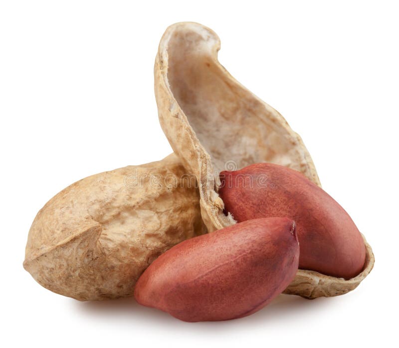 Pinda's stock foto. Image of vegetariër, schelp, macro - 22892406