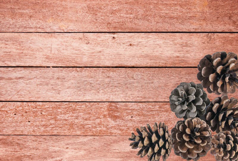 Pine Ball on the Wooden Board Stock Image - Image of background ...