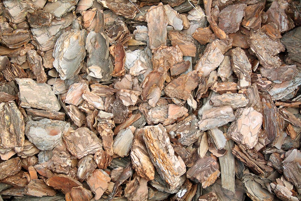 Pine bark chips texture stock image. Image of abstract - 20292779