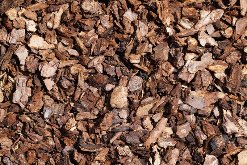 Pine Bark for Natural Weed Control in the Garden Stock Photo - Image of ...
