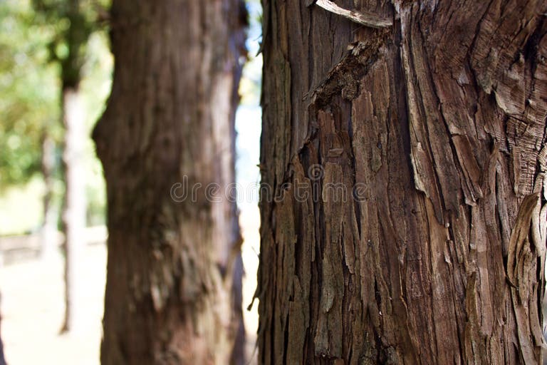 Nicely Pops Deviantart Stock Photos - Free & Royalty-Free Stock Photos ...