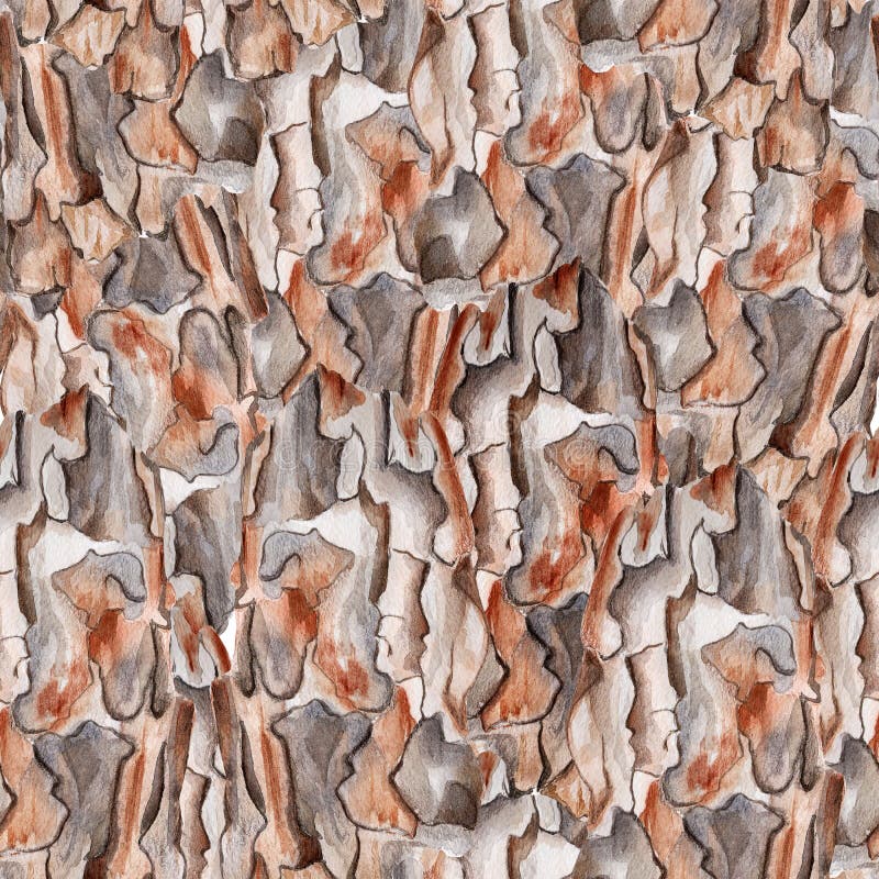 Pine Bark Watercolor Seamless Pattern Stock Photo - Image of defense ...