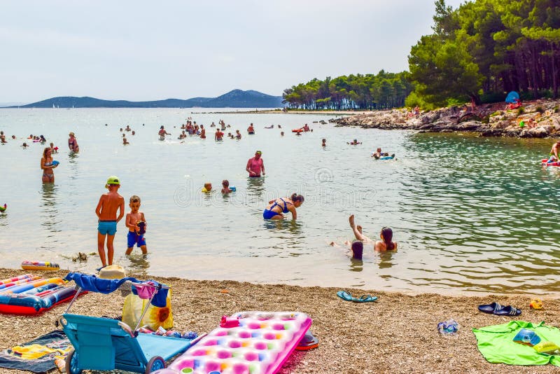 Pine beach in Pakostane editorial image. Image of landscape - 137403650