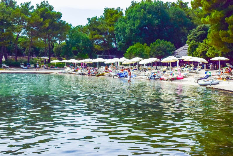 Pine beach in Pakostane editorial stock image. Image of pines - 137403644