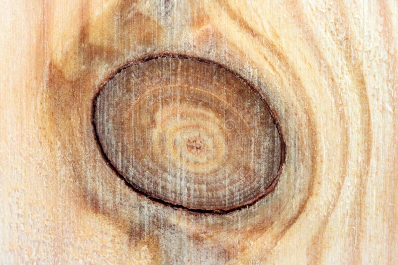 Pine Board with a Knot. the Structure of the Tree Cut Close-up Stock ...