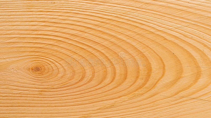 Pine board with knots stock image. Image of wooden, lumber - 237746149