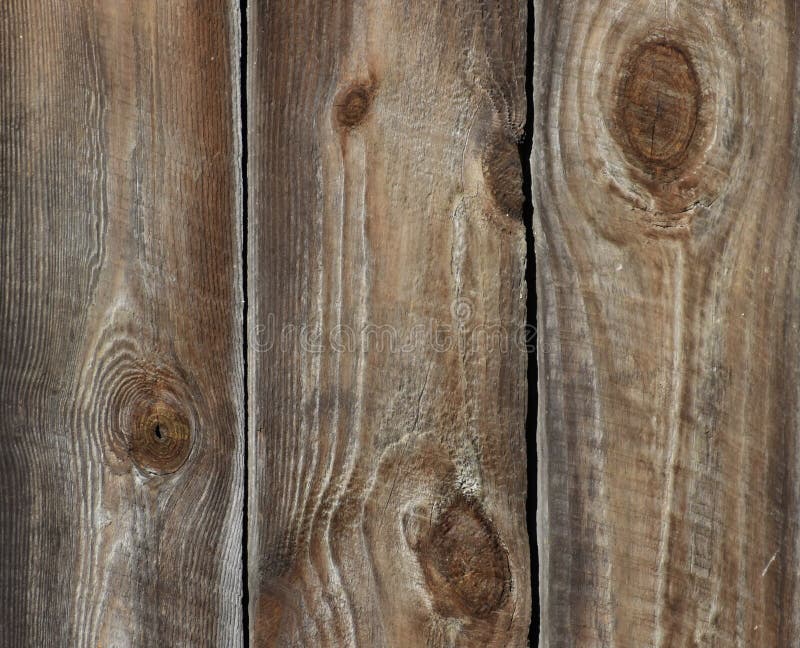 Pine boards stock photo. Image of boards, wood, barn - 235137778