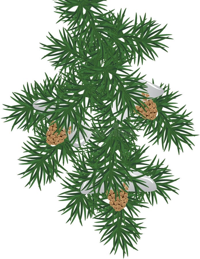 Christmas Pine Bough Stock Illustrations – 878 Christmas Pine Bough ...