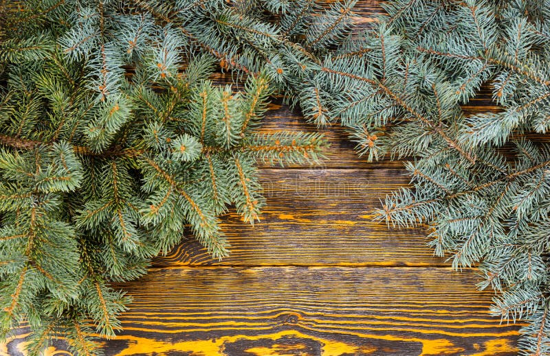 Pine branch corner border stock image. Image of corners - 61801535
