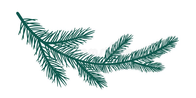 Pine Branch Vector Illustration Christmas Tree Element, Decorative Flat Clip Art Silhouette ...