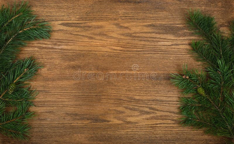 Sonya Branches Stock Photos - Free & Royalty-Free Stock Photos from ...