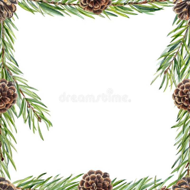Pine Branches with Cones Seamless Square Grid Pattern Isolated on White ...