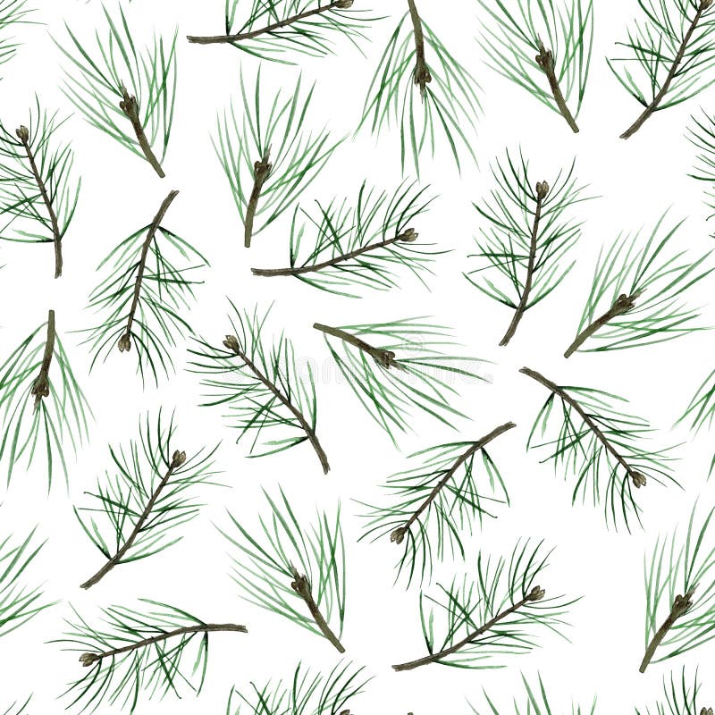 Pine Branches and Needles Watercolor Seamless Pattern Stock Photo - Image of autumn, decorating ...