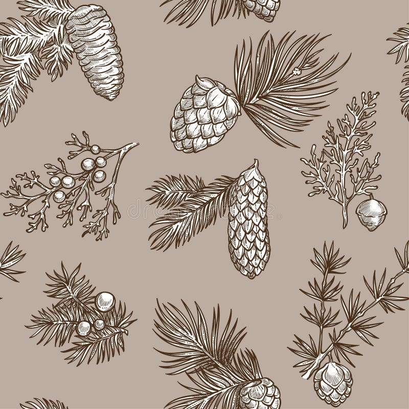 Pine Branches of Trees and Cones Seamless Pattern Isolated on White Background Vector. Stock ...