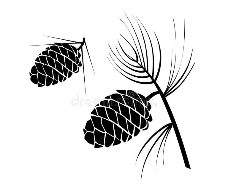Pine Cone Seed Stock Illustrations – 6,130 Pine Cone Seed Stock ...