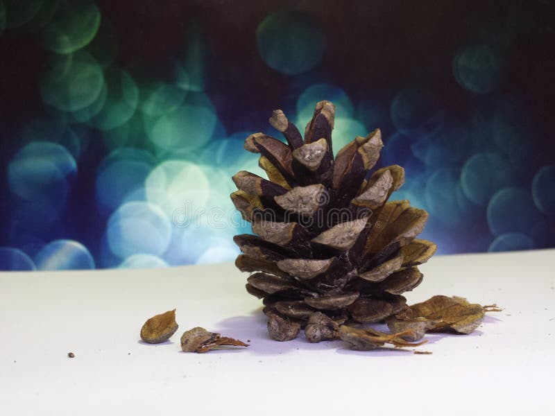 Pine Cone with the Blue Background and White Base. Stock Photo - Image ...