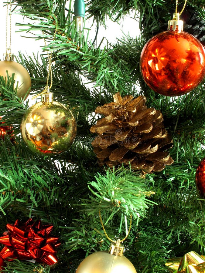 Pine Cone in a Christmas Tree Stock Image - Image of christmas, cone ...