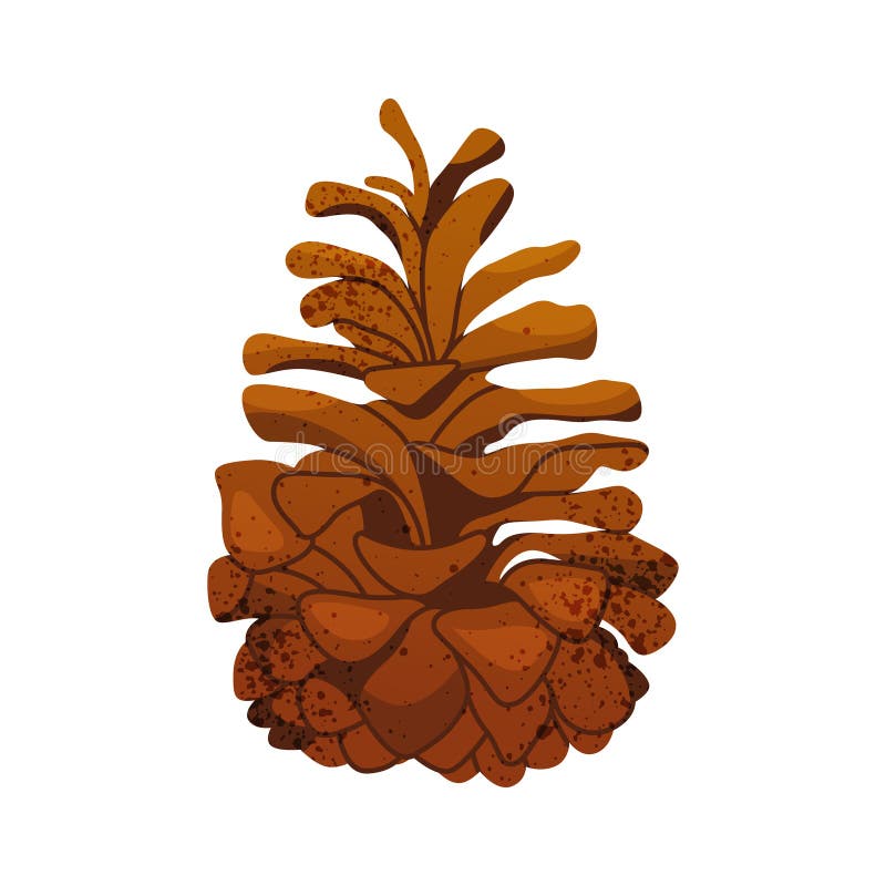 Cone Pine Seed Stock Illustrations – 6,451 Cone Pine Seed Stock ...