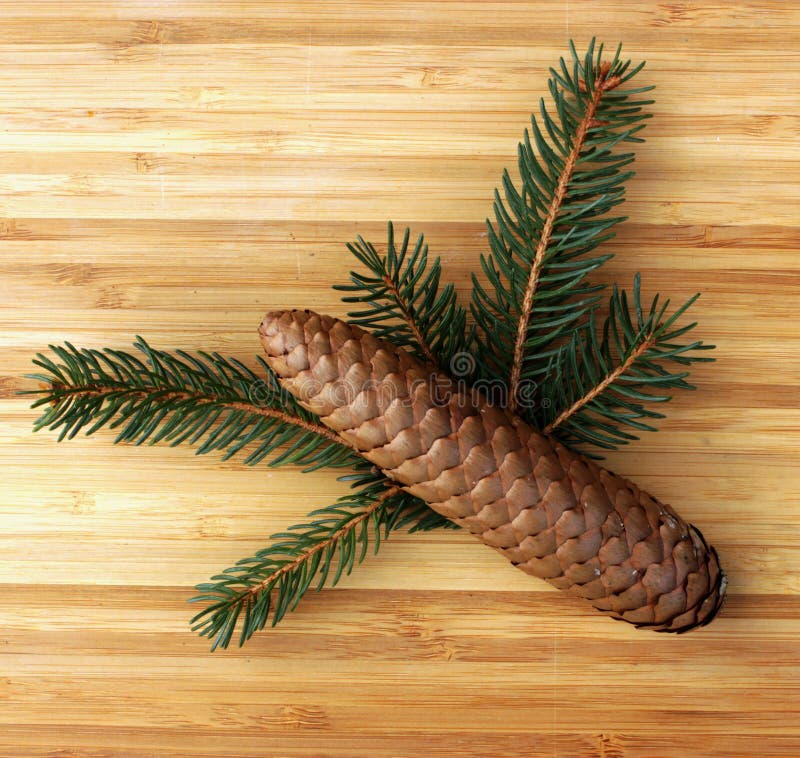 Pine-cone and Pine Branches on a Wooden Board Stock Photo - Image of ...