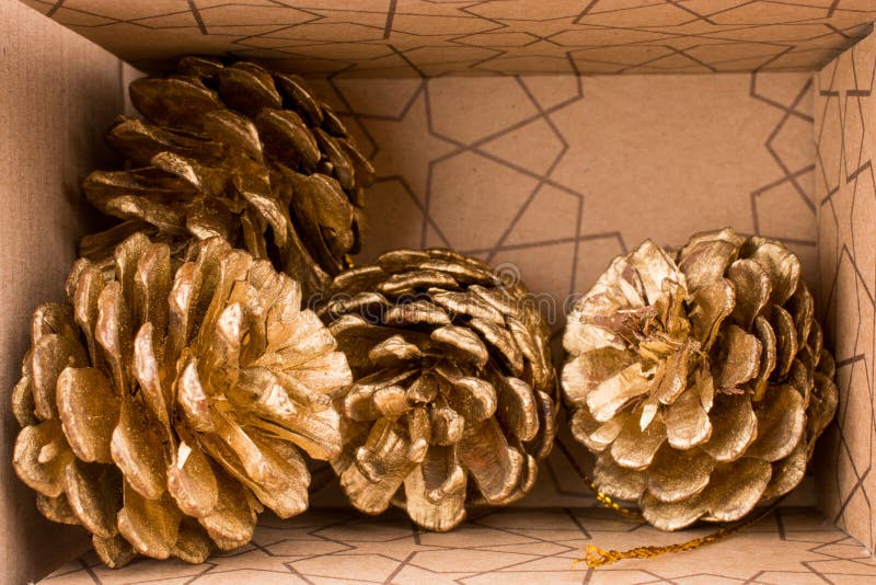 Pine Cone Placed in Cardboard Box Stock Image - Image of wood, forest ...
