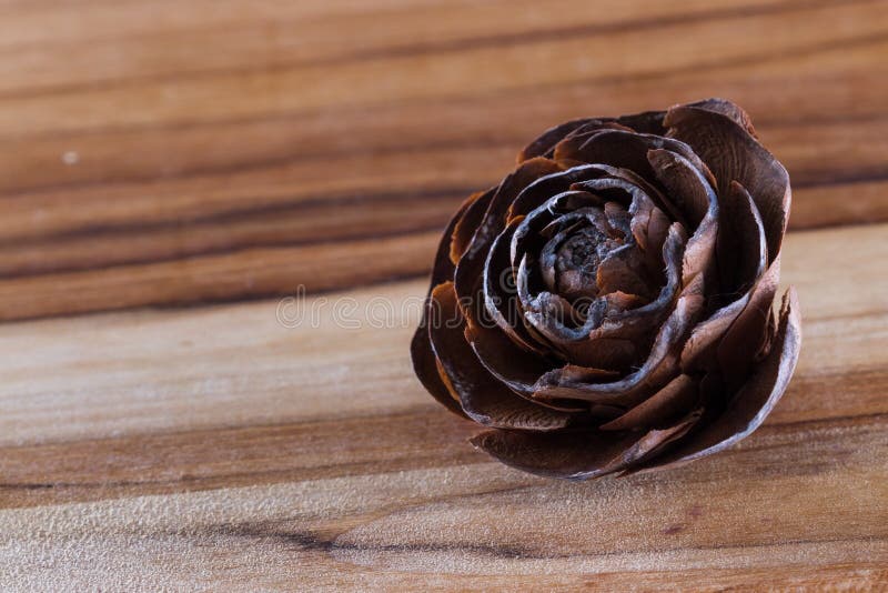 Pine cone in rose shape stock image. Image of wooden - 67394649