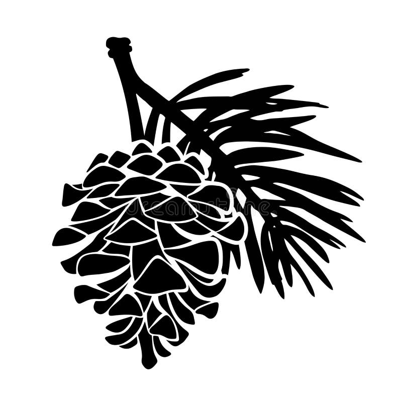 Pine Cone. Vector Black Silhouette. Stock Vector - Illustration of ... Pine Cone. Vector Black Silhouette. Stock Vector - Illustration of ...