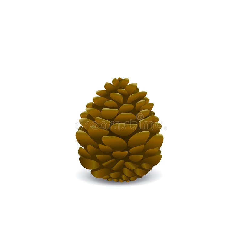 Pine cone vector stock vector. Illustration of spruce - 43267190