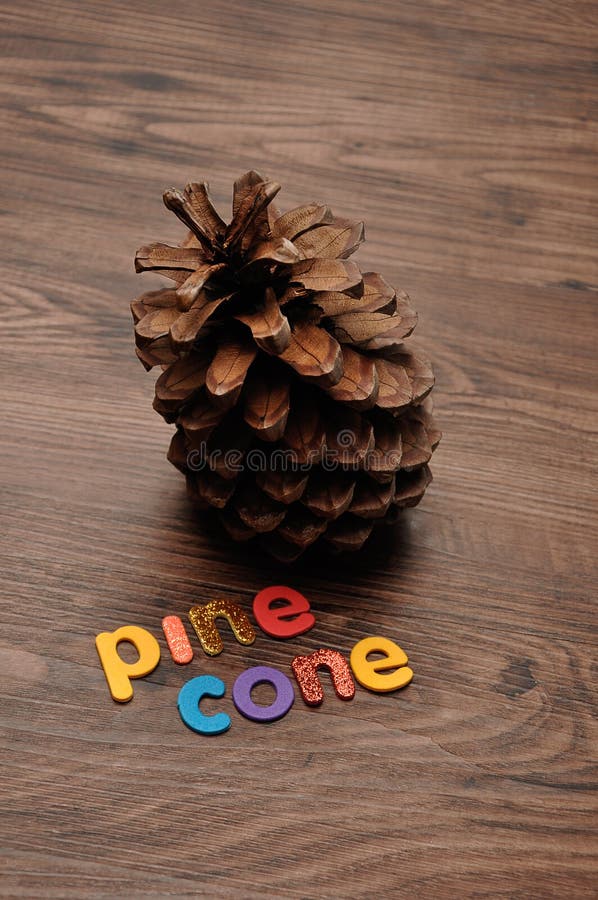 PINE Word Made with Building Blocks on Wooden Board Stock Photo - Image ...