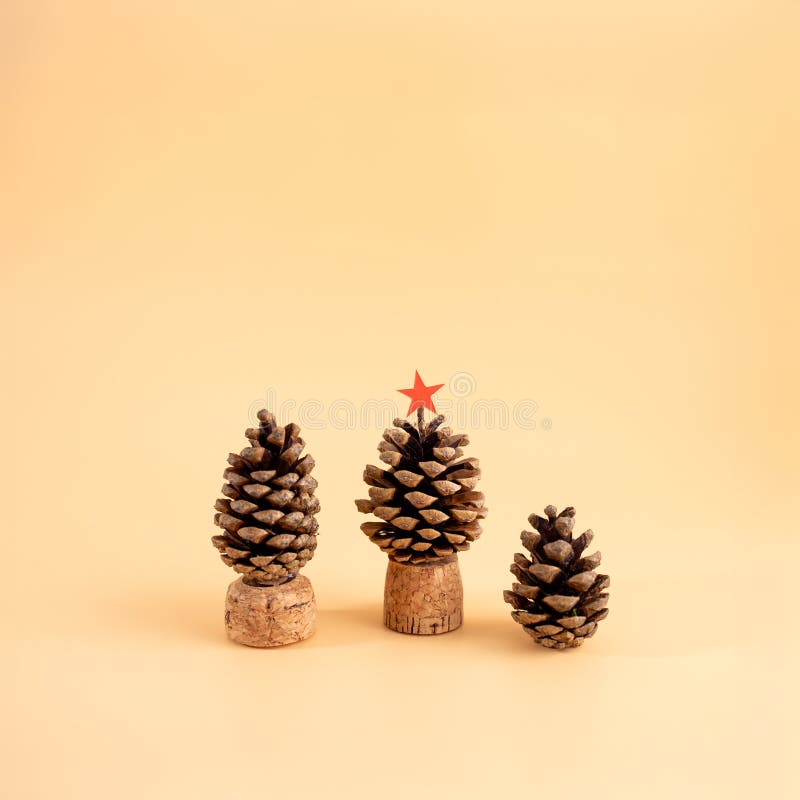 Pine Cones Arranged on Orange Background, Each on a Cork Base ...