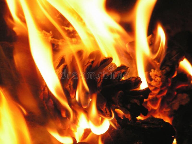 Pine cones on fire stock image. Image of yellow, flames - 848313