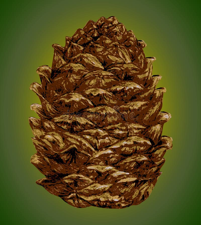 Digital Illustration of a Pine Cone with Intricate Brown Textures, Set Against a Gradient Green ...