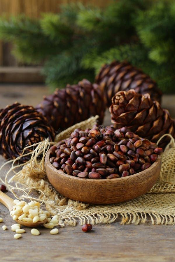 Pine cones and nuts stock photo. Image of cones, cooking - 159179784