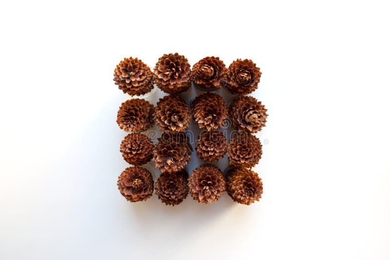 Pine Cones Square Shape from Above Stock Photo - Image of cone, bronze ...