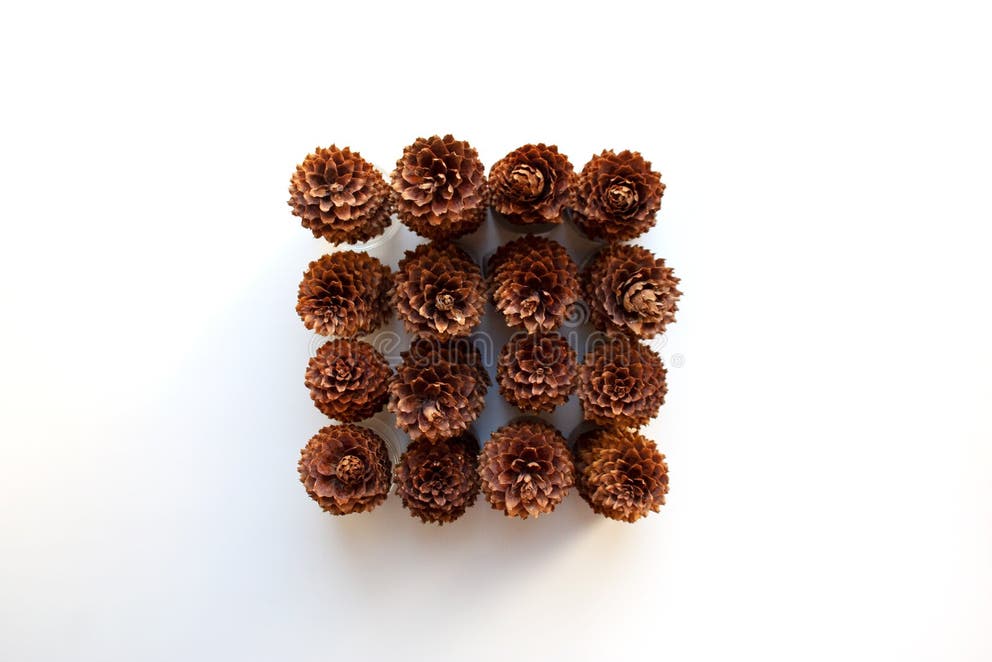 Pine Cones Square Shape from Above Stock Photo - Image of cone, bronze ...