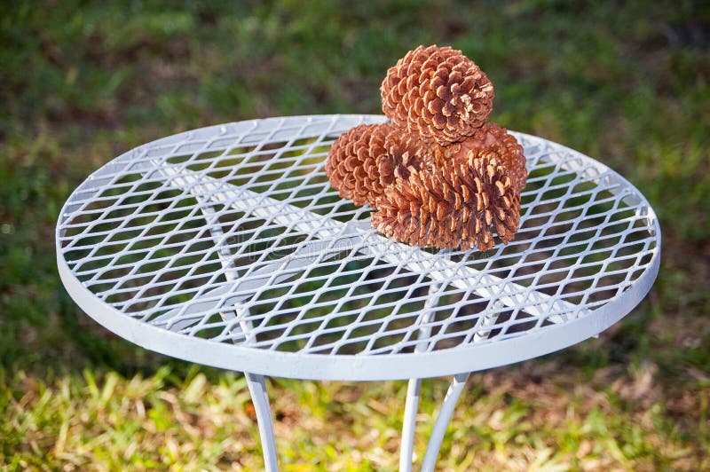 Pine Cones on Table. stock photo. Image of festive, pattern - 54014512