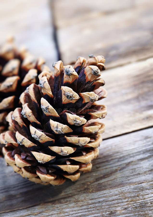 Pine Cones on Wooden Background Stock Image - Image of nature ...