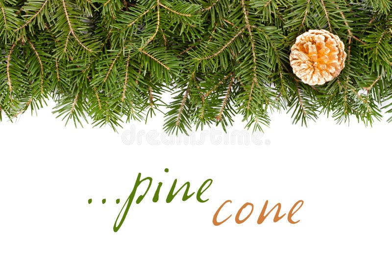 Guld- kotte. fotografering för bildbyråer. Bild av detalj - 27592069